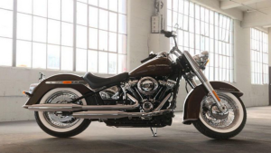 Harley Davidson Motorcycle Size And Model Chart - Best Guide