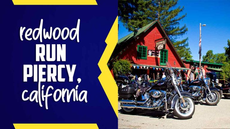 Redwood Run – Piercy, California: California Adventure