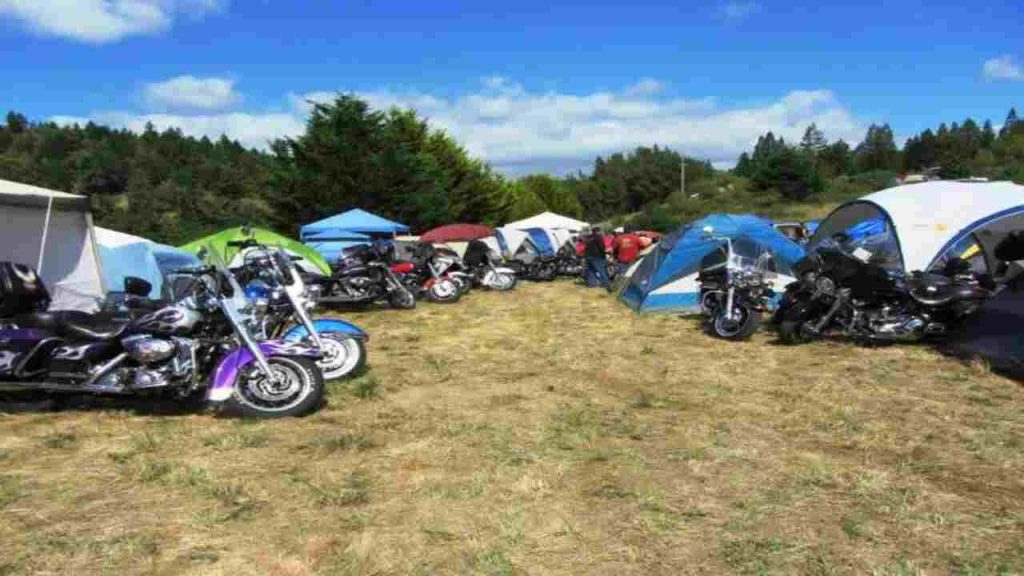 Redwood Run – Piercy, California: California Adventure